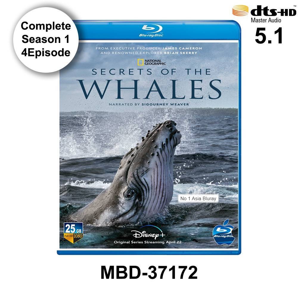 disney secrets documentary